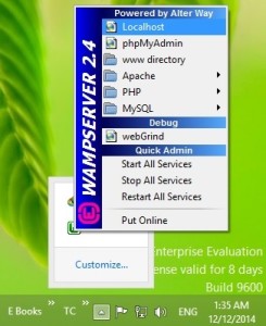 How to Create and Configure Local Web Server? - TECHNIG