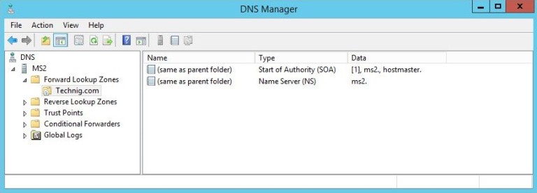 Install and Configure DNS in Windows Server 2012 R2 - TECHNIG