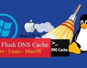 Networking Archives - TECHNIG